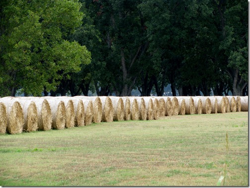 Aunt C's: September 2010